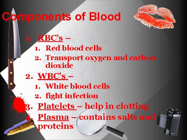 Bellringer 1 What is serology 2 What body
