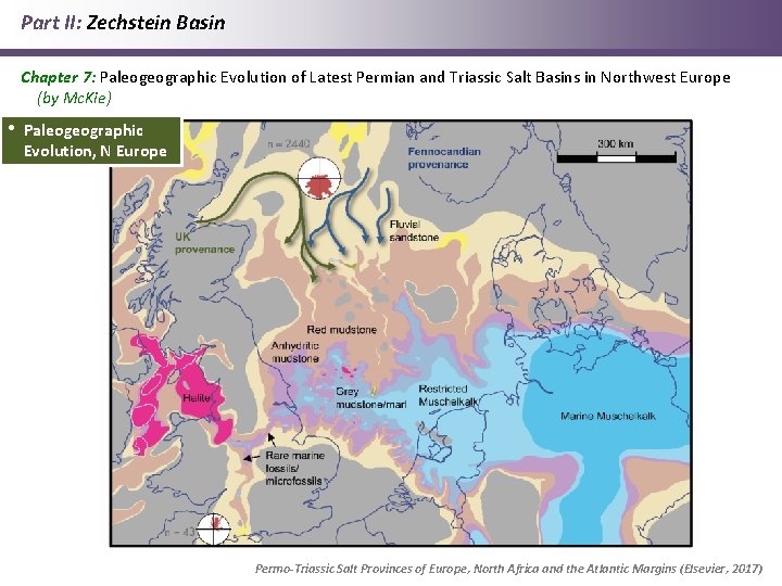 Book on PermoTriassic Salt Tectonics and Hydrocarbon Potential