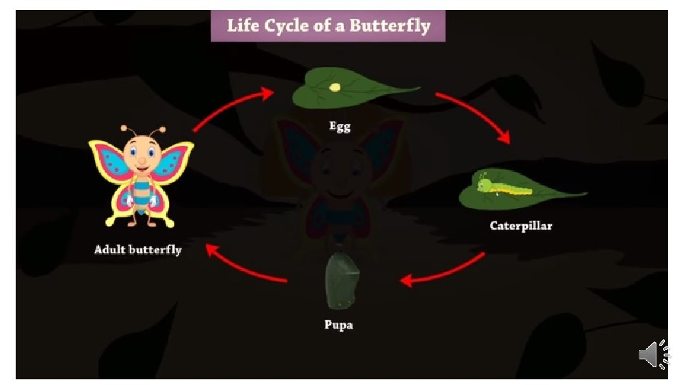 Science Circle of Life L O To understand