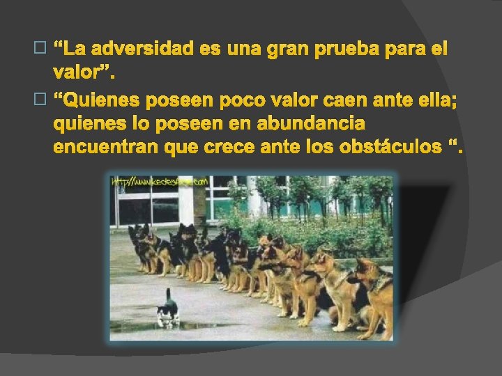 La adversidad es una gran prueba para el