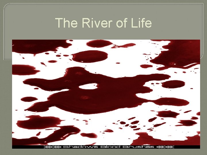 The River of Life BloodDid You Know Blood