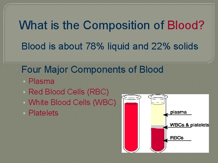 The River of Life BloodDid You Know Blood