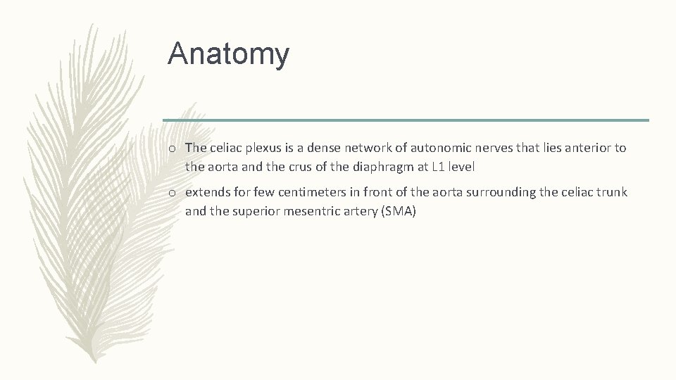 Ultrasound Guided Celiac Plexus Block and Neurolysis Dr