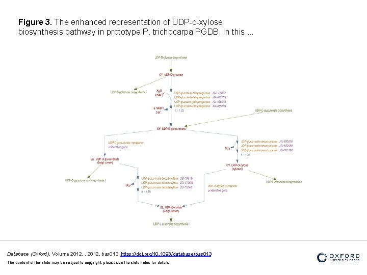 Figure 1 Schematic representation of the subcellular localization