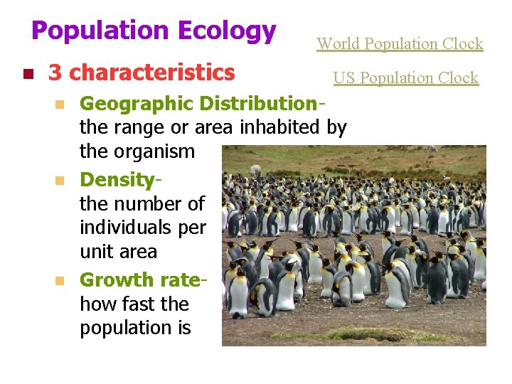 Principles of Ecology The trouble with ecology is