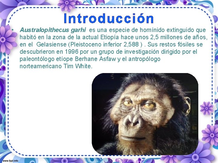 Australopithecus garhi Nombre Stefany Bruna Curso 3 Medio