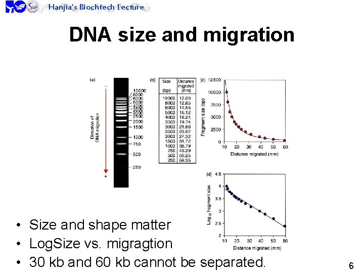 Hanjias Biochemistry Lecture Chapter 3 Recombinant DNA Technology