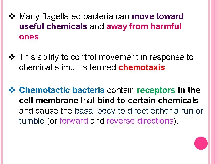 Motility of the bacteria Biology and Biotechnology department