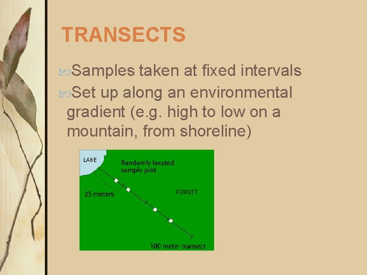 2 5 Investigating Ecosystems Practical Work Environmental Systems
