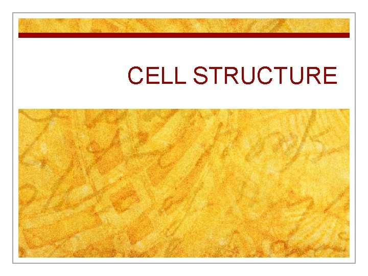 CELL STRUCTURE Overview The Importance of Cells n