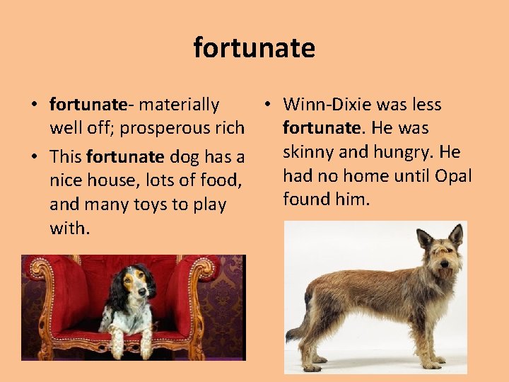 Learn Your Vocabulary Today is a good day