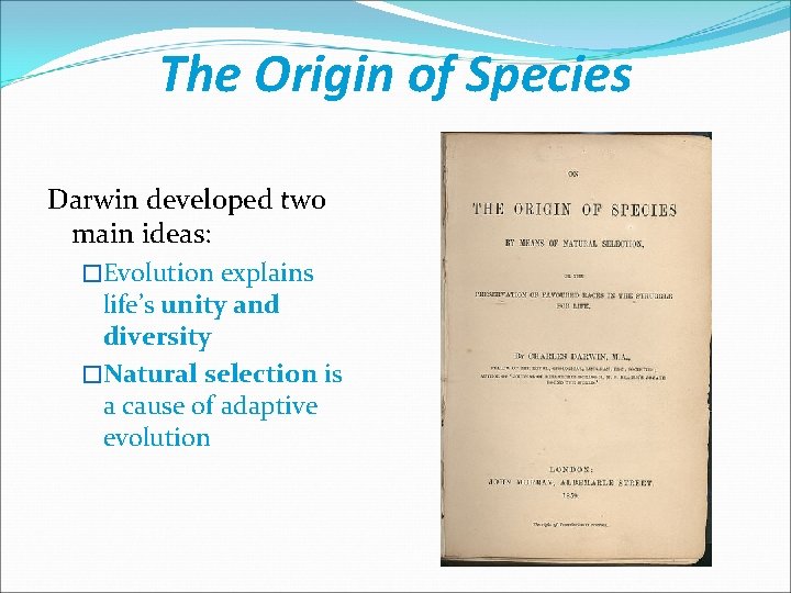 The Theory of Biological Evolution The Theory of