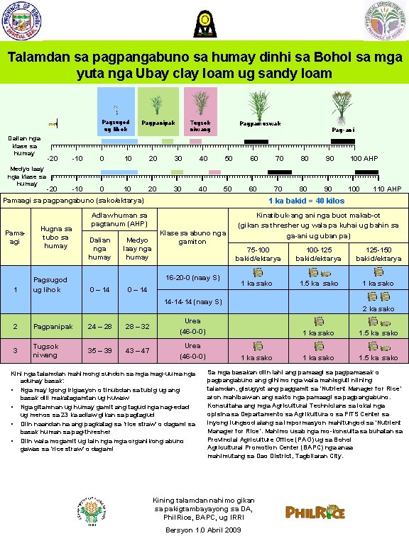 Quick guide for fertilizing transplanted rice in Bohol