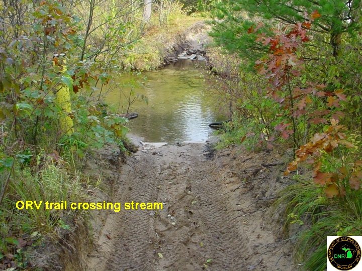 Recognition and reporting of water quality management problems