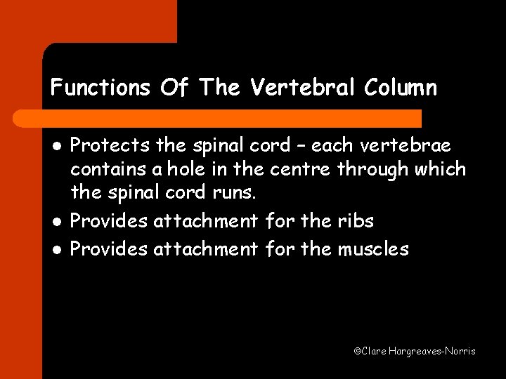 The Axial Skeleton Access Human Biology Clare HargreavesNorris