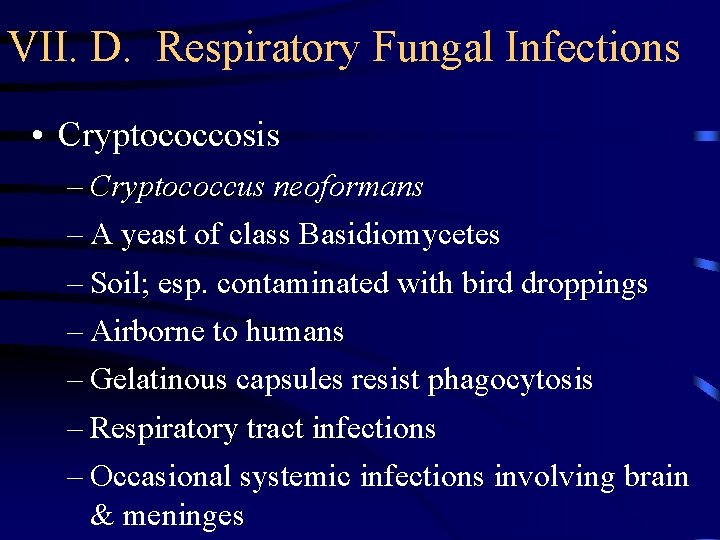 VII Fungal Diseases A B C D Basic