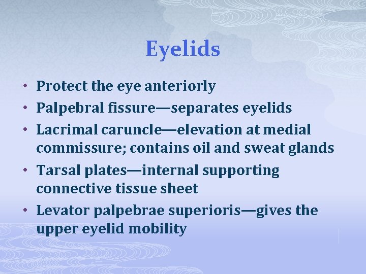 The Special Senses Objective Describe the structure of