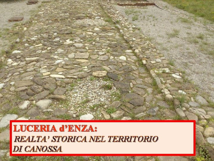 LUCERIA dENZA REALTA STORICA NEL TERRITORIO DI CANOSSA