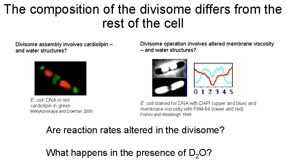 Where might a microbiologist look for answers I