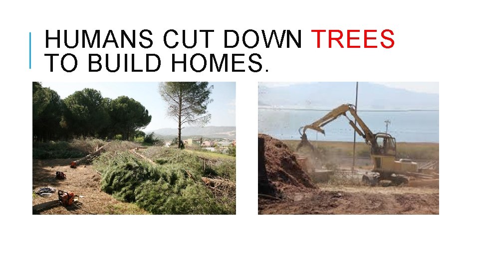 CHANGES TO THE ENVIRONMENT Changes by Humans HUMANS