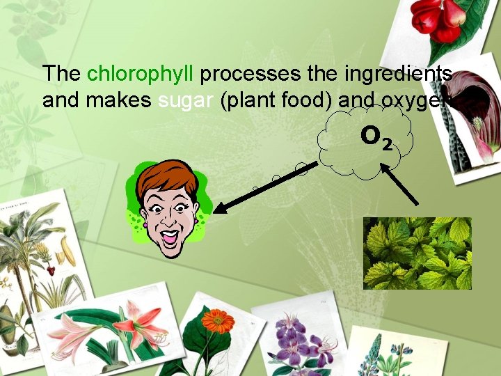 Photosynthesis Respiration What is Photosynthesis It is the