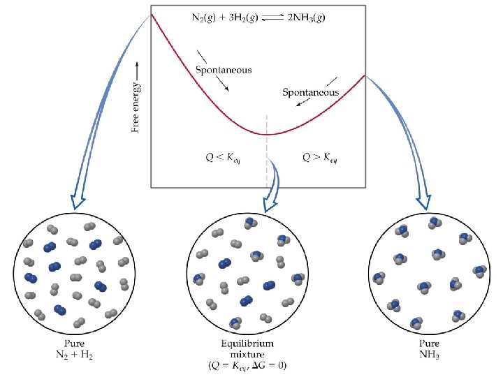 Gibbs Free Energy For a spontaneous reaction the
