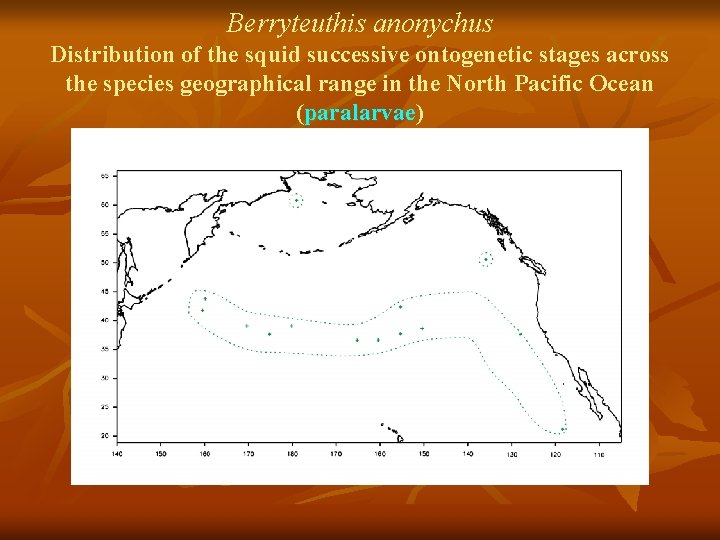 Patterns of distribution and biology of the North