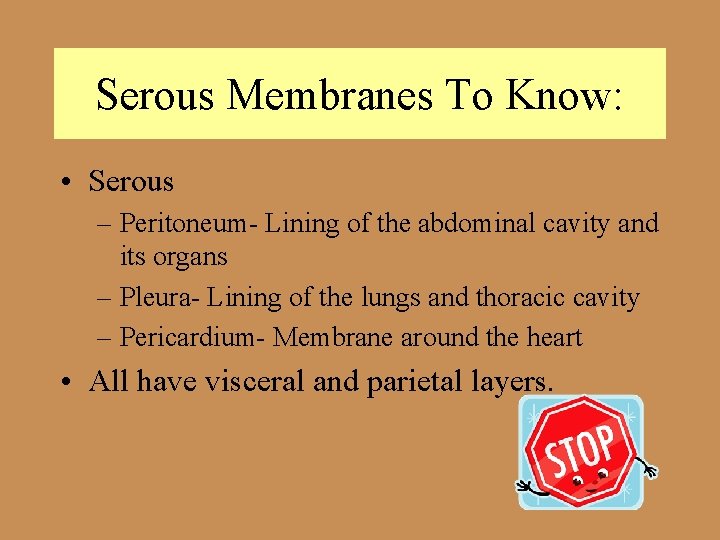 Integumentary System Body Membranes Ch 4 First for