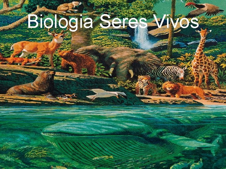 Biologia Seres Vivos Classificao Geral dos Seres Vivos