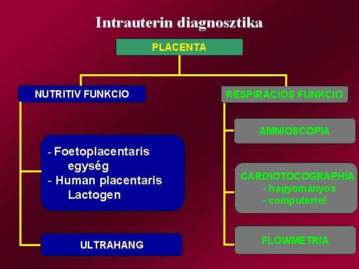 Intrauterin diagnosztika PLACENTA NUTRITIV FUNKCIO RESPIRCIOS FUNKCIO ...