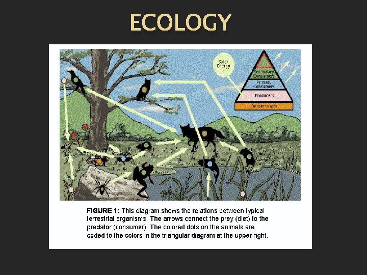 ECOLOGY Environmental Flowchart 1 Individual organism of a