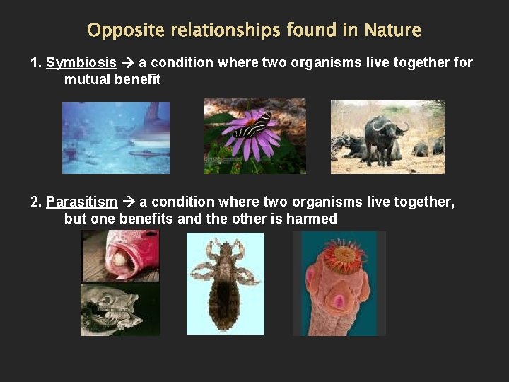 ECOLOGY Environmental Flowchart 1 Individual organism of a