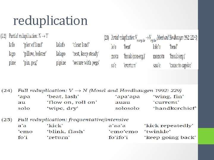 Typology Morphological typology Introduction See the big picture