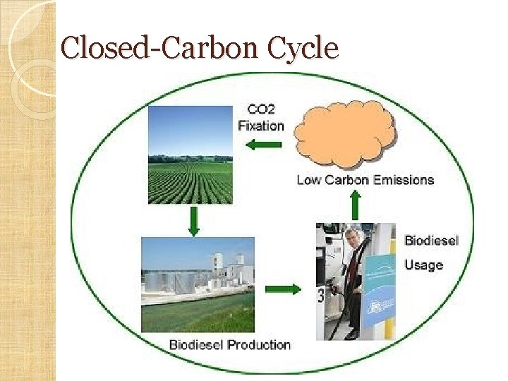 Biodiesel Production Lifecycle of Biodiesel Production Barry Latham