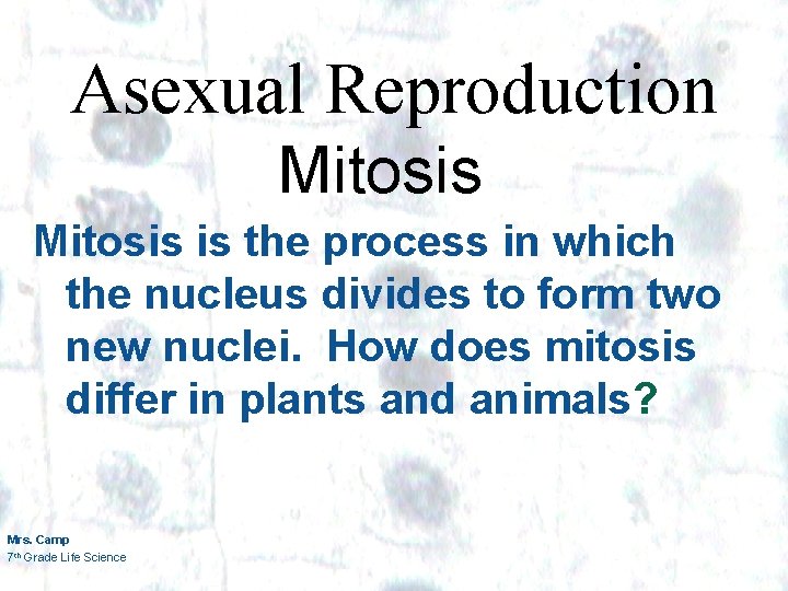Asexual Reproduction Mitosis is the process in which