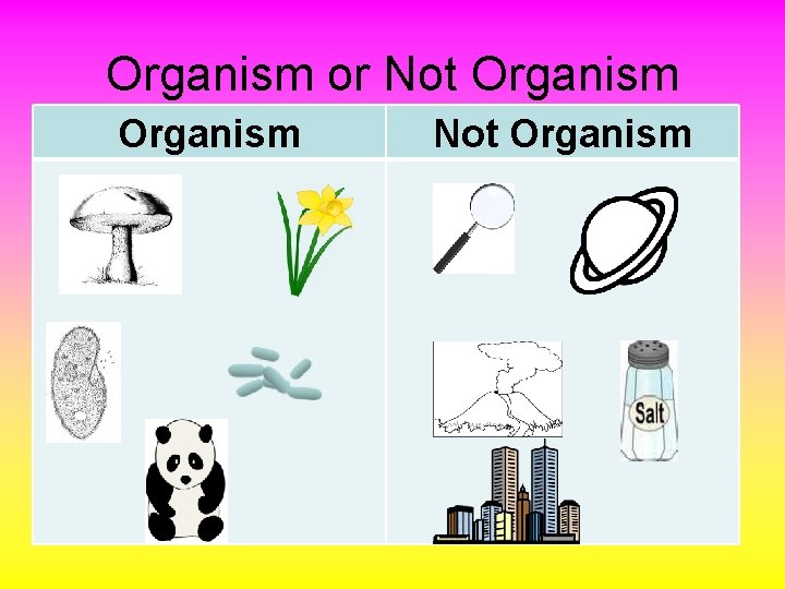 Classification of living things Organism or Not Organism