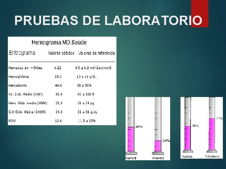 FISIOPATOLOGIA ERITROPOYESIS NORMAL Y ALTERADA LUCIANO ROBERTO DE