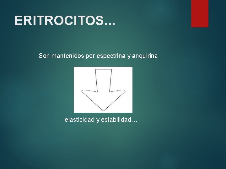 FISIOPATOLOGIA ERITROPOYESIS NORMAL Y ALTERADA LUCIANO ROBERTO DE