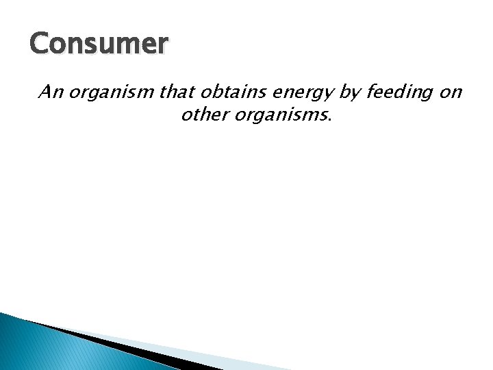 Energy Flow In Ecosystems Guided Reading WB pgs