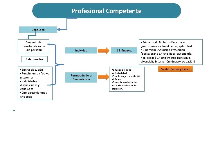 Profesional Competente Definicin Conjunto de caractersticas de una