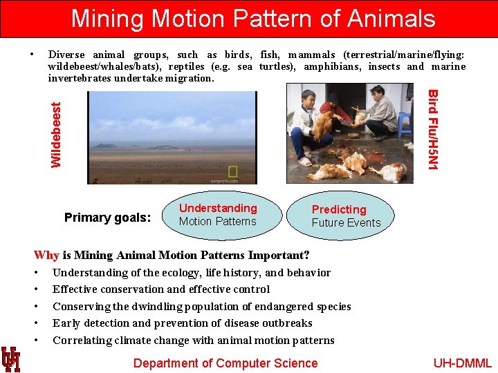 Research Areas and Projects 1 Data Mining and