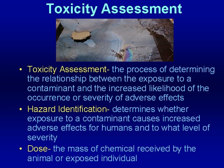 Risk Assessment Philip Bedient Ph D Rice University