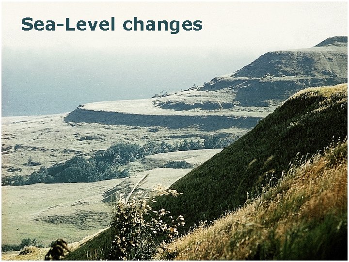 SeaLevel changes 1 Questions What causes the sea