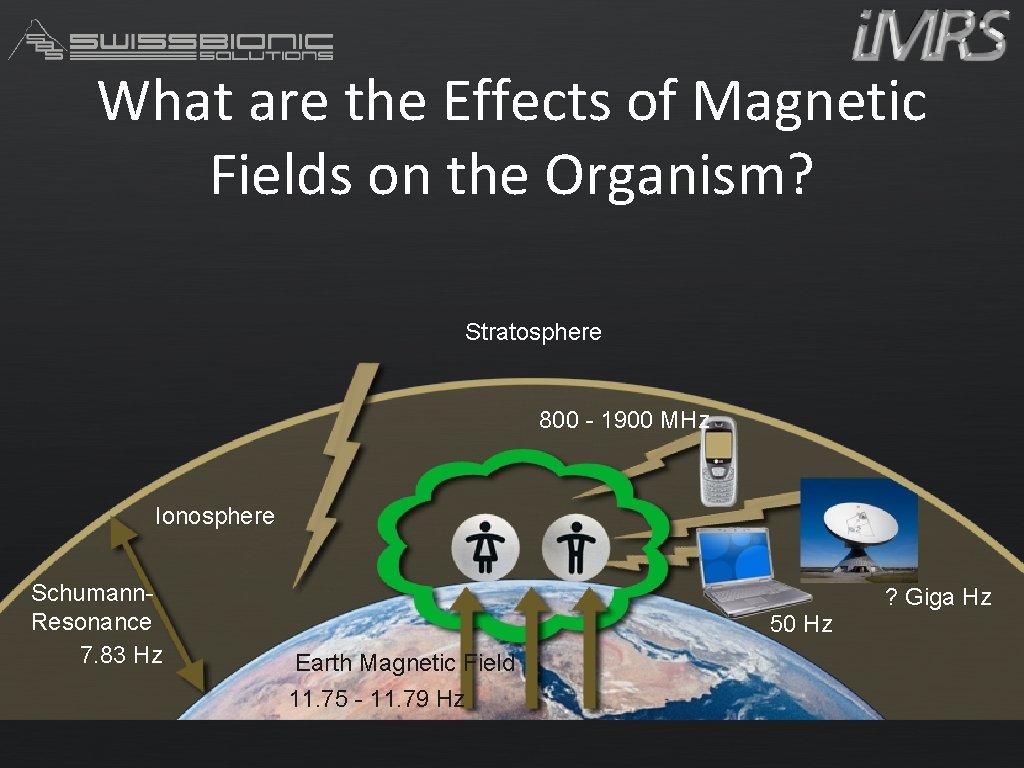 Basic Knowledge and Perspective on Magnetic Resonance Stimulation