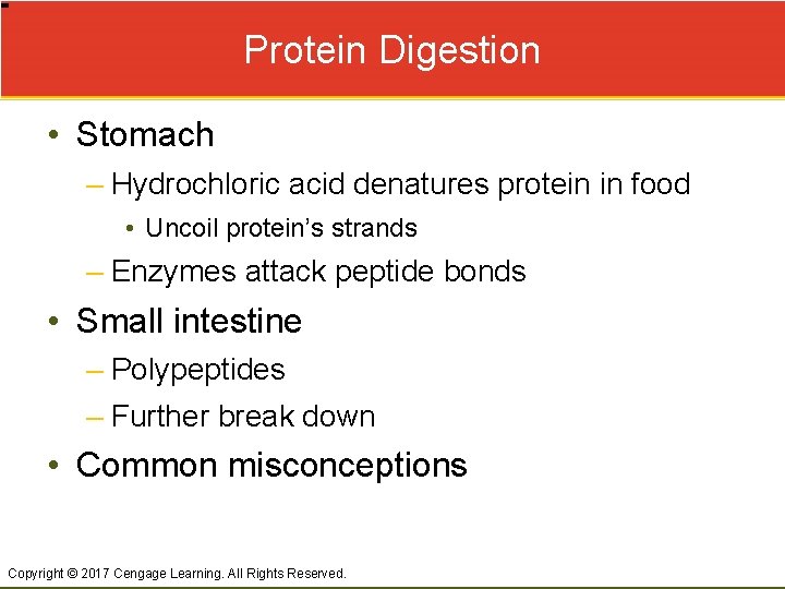 6 The Proteins and Amino Acids Copyright 2017