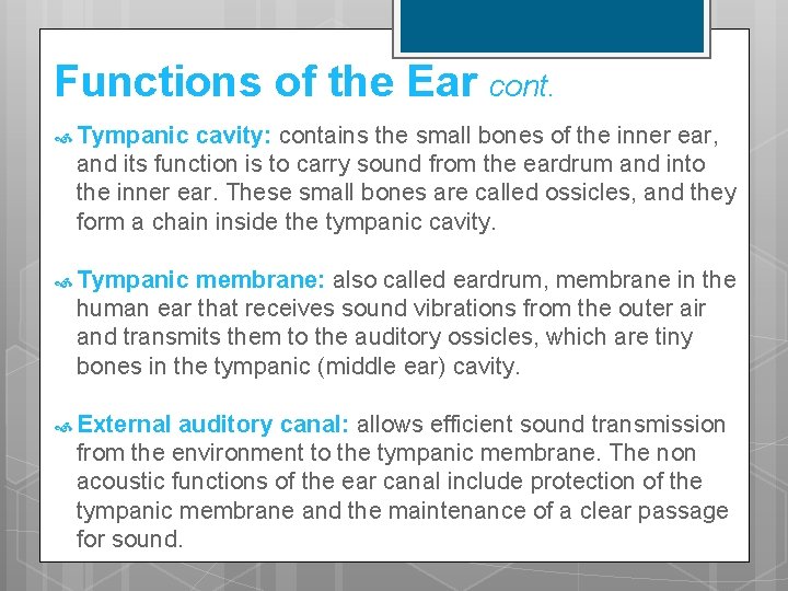 Sense of Hearing Equilibrium Done by Ghayda Abu