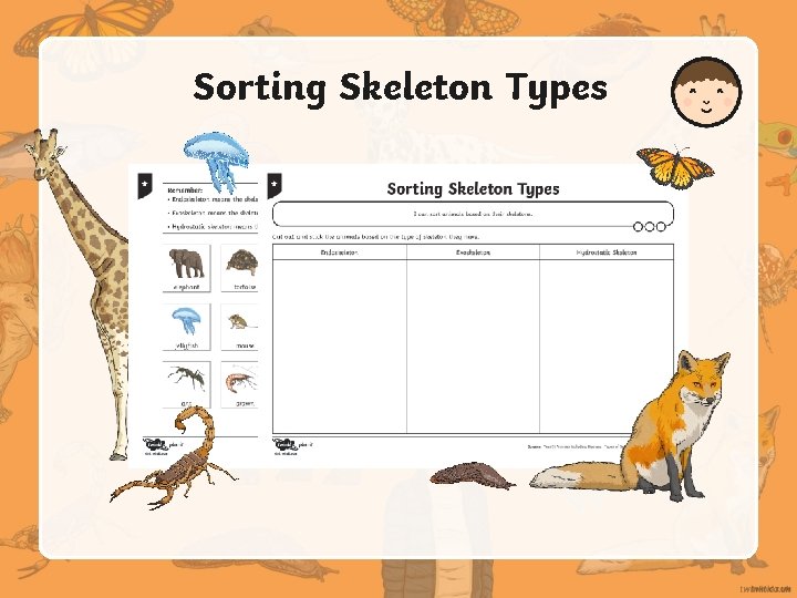 Science Animals Including Humans Year One Science Year