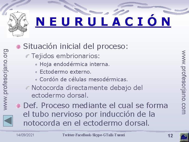 DESARROLLO EMBRIONARIO EN EL HOMBRE 3 LA INDUCCIN