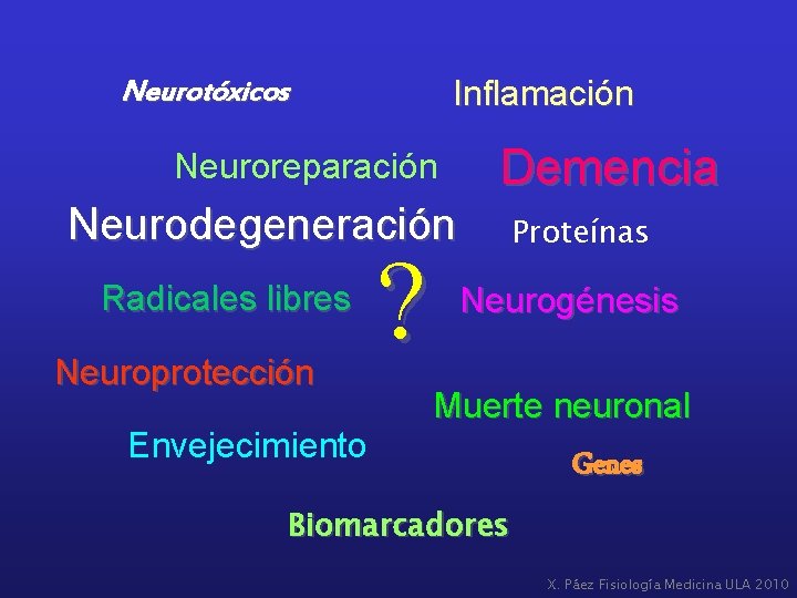 ACTUALIZACIN SOBRE NEURODEGENERACIN Laboratorio de Fisiologa de la