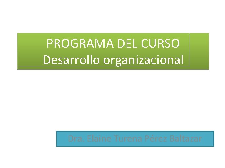PROGRAMA DEL CURSO Desarrollo organizacional Dra Elaine Turena